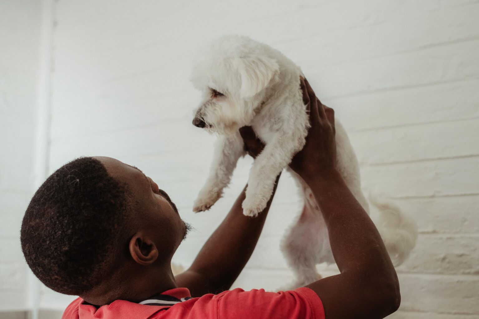 THE DOG GROOMER – The Best Things In Life Are Furry!